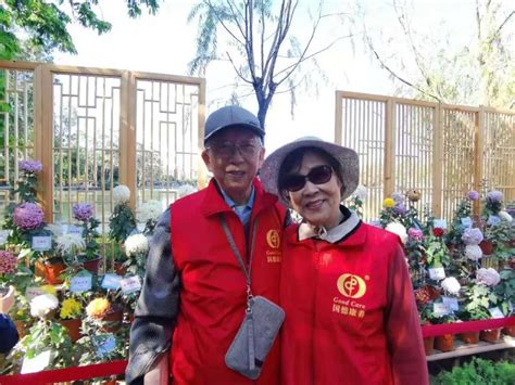 王奶奶的嘉年华丨一位83岁退休语文教师的养老快乐颂 搜狐大视野 搜狐新闻