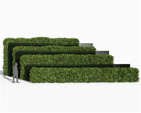 Cedar Hedge 3d Model Turbosquid 1177955