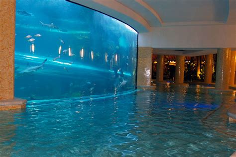 Gold Nugget Las Vegas Swimming Pool Pool Picture Of Golden Nugget