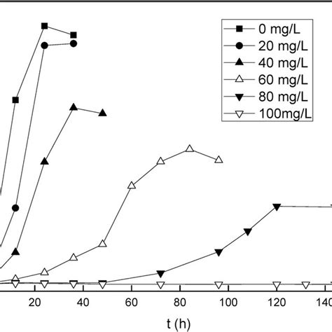 Phylogenetic Tree Bootstrap Values Expressed As Percentages Of 1000 Download Scientific