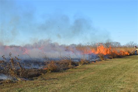 Fire Season Takes On A New Meaning Deep Roots