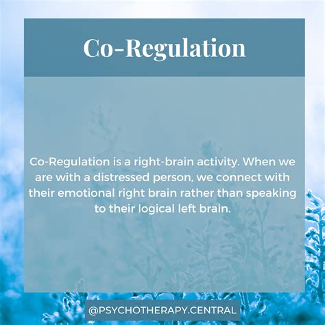 Tips For Co Regulation Artofit