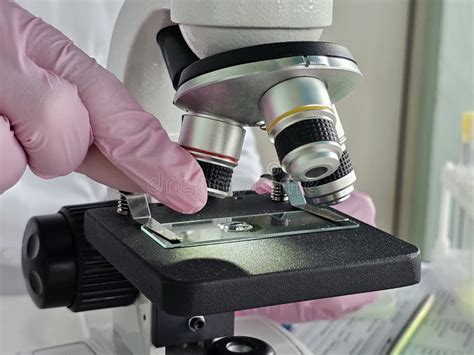 Researcher Examines Slide Under Microscope In Laboratory Stock Image Image Of Data