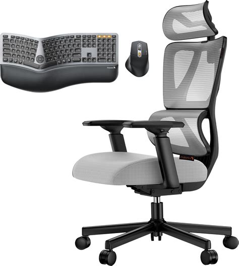 Protoarc Ec 100 Ergonomic Office Chair And Ekm01 Plus