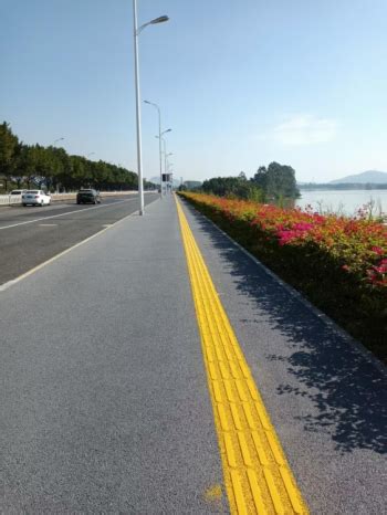 生态文明“添海绵”，城市道路“森呼吸”——漳州市市政工程中心加快推进市区人行道海绵化改造 文明单位 漳州文明网
