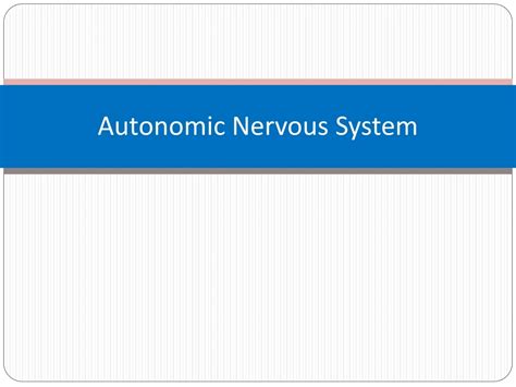 PPT Autonomic Nervous System Signaling And Receptors PowerPoint Presentation ID