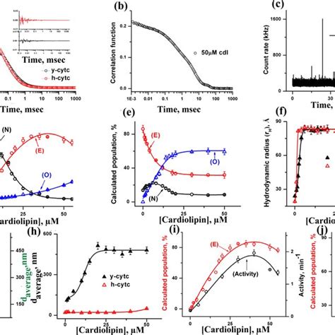 A The Autocorrelation Functions Of Tmr Labeled H Cytc And Y Cytc In Download Scientific