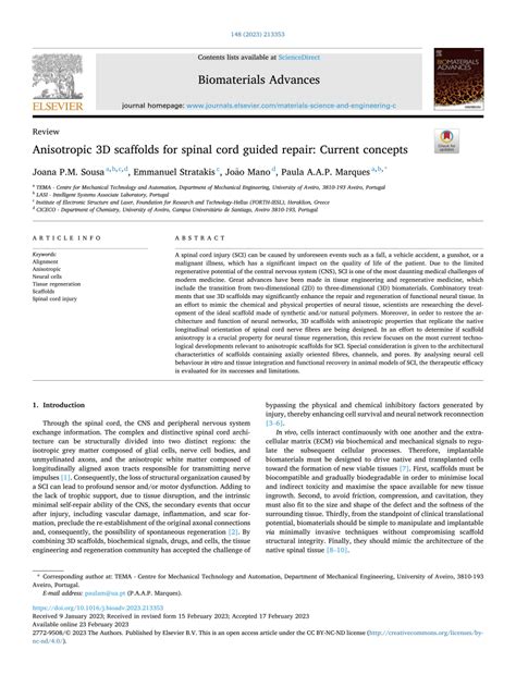 Pdf Anisotropic 3d Scaffolds For Spinal Cord Guided Repair Current Concepts
