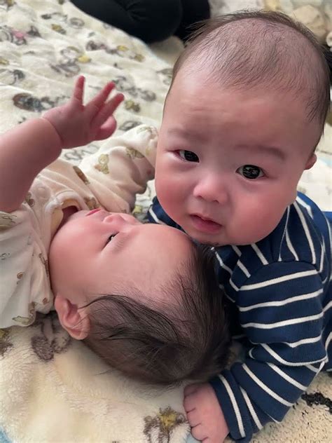 生後4ヶ月 男女双子 妹を舐めちゃうお兄ちゃん🙈仲良しですねー双子 生後4ヶ月 二卵性双生児 Mixtwins Cute