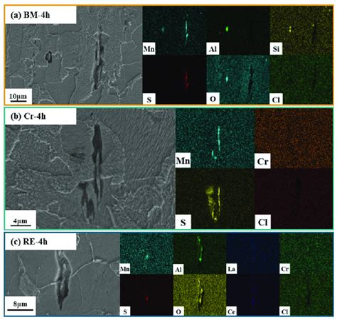 Immersion Test Results Of A Bm B Cr And C Re Steel Rebars After Download Scientific