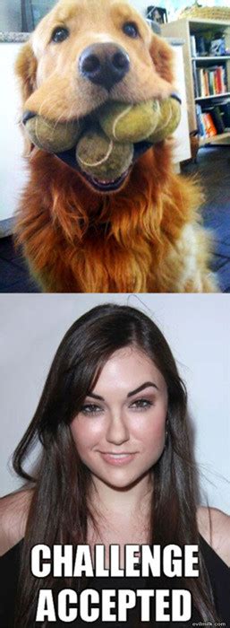 С днем рождения Саша Грей FURFUR