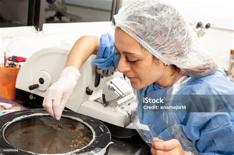 Scientist Preparing A Paraffin Embedded Tissue For Pathology Analysis Floating Method For
