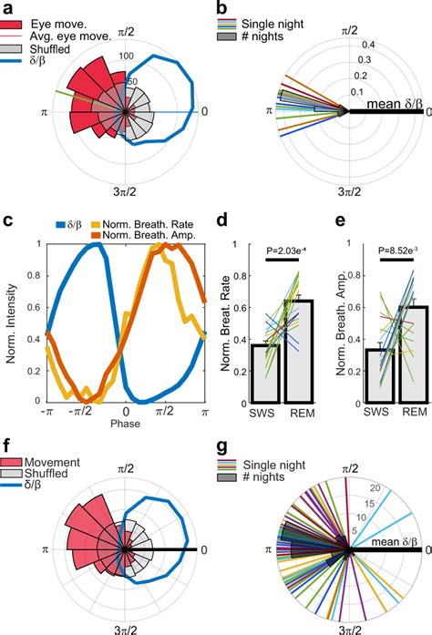 Physiological Attributes Are Locked To Sleep States A Polar Histogram Download Scientific