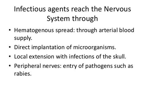 Lumbar Puncture Procedure Note Template Parahyena