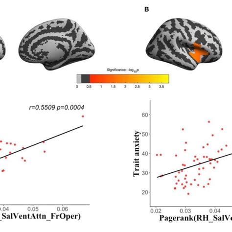 Brain Regions With Significant Correlations Between Topological