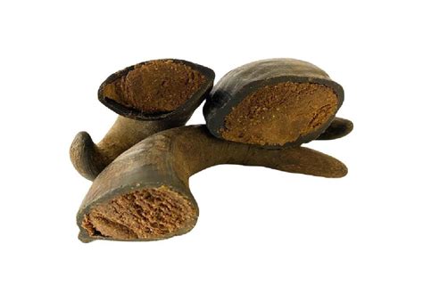 Buffalo Horns Meat Filled Small