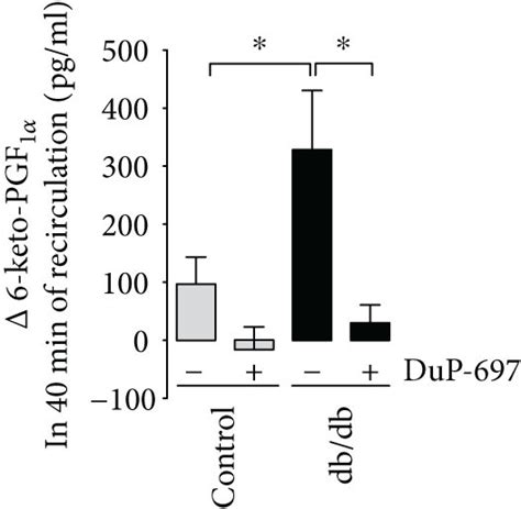 no and pgi2 dependent function in the diabetic isolated lungs a