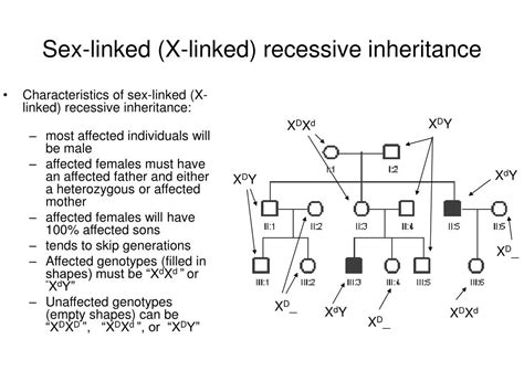 ppt autosomal recessive inheritance powerpoint presentation free