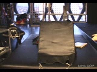 Nina Hartley Sunny Lane Of GP Nina Hartley Clips Sale