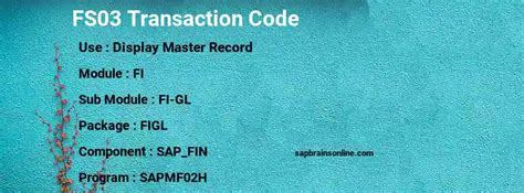FS SAP Tcode For Display Master Record