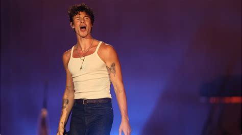 Shawn Mendes Shares Alcoholism And Drug Addiction Fears The Australian