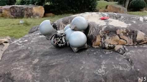 Swarm Of Tiny Snail Robots Stick Together To Form New Structures Popular Science