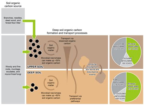 Organic Matter Makes Up What