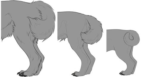 Curl Tail Examples By Totemspirit On Deviantart Curl Tail Examples By Totemspirit On Deviantart