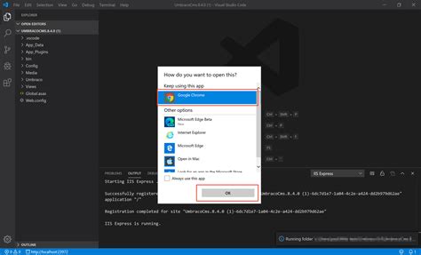 Visual Studio Marketplace Add Header To Iisexpress Caqwefashion
