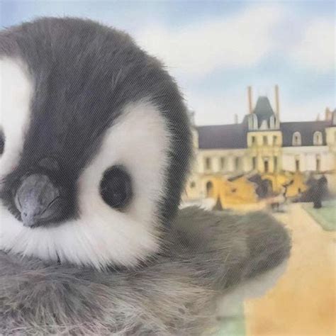 About Her Satellite Medium