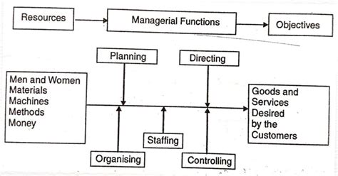 Management Process And Functions Of Management
