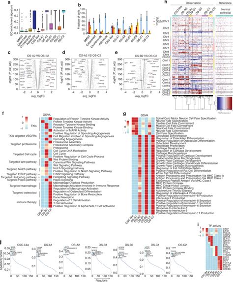A Novel Molecular Classification Method For Osteosarcoma Based On Tumor