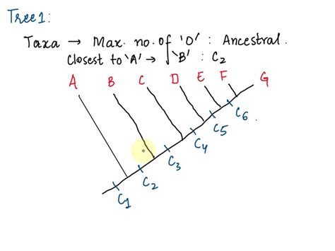 Build A Phylogeny Tree Based On The Data Matrix Table Below Build A