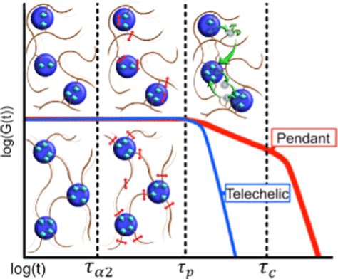Influence Of Molecular Architecture On The Viscoelastic Properties Of Polymers With Phase