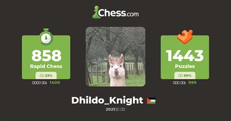 Dhildoknight 체스 프로필