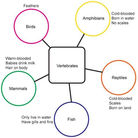 Semantic Map Template