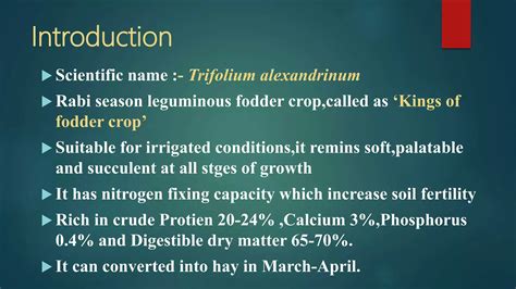 Berseem Fodder Crop Production Pptx