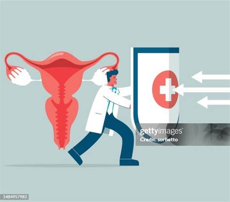 Vulva Stock Vectors Photos And Premium High Res Pictures Getty Images