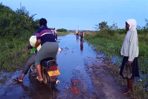 Environmentalists Call For Localizing Debate On Environmental Degradation