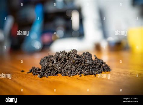Soil Sample Babe Hi Res Stock Photography And Images Alamy