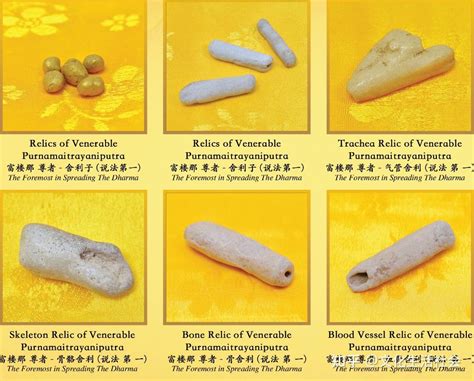 舍利子是什么东西 舍利子的硬度及颜色不同舍利子到底有多坚硬还有多少舍利流散人间 知乎