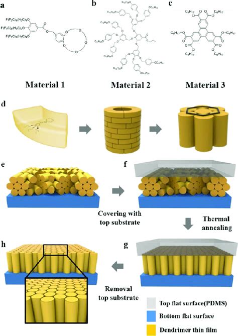 Preparation Of Large Area Single Domain Columnar Structure A Download Scientific Diagram