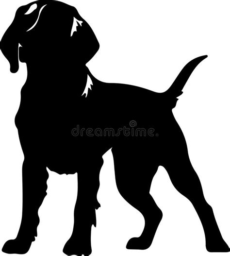 Small Munsterlander Pointer Black Silhouette Generative Ai Stock Vector Illustration Of Black