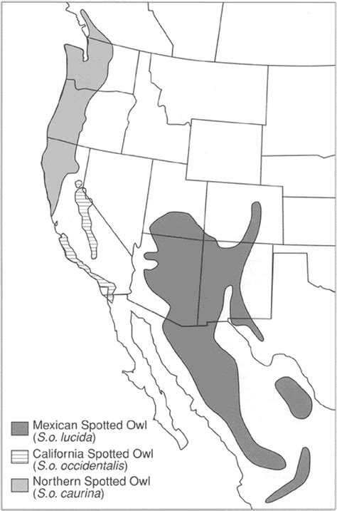 Range Map For The Three Subspecies Of The Spotted Owl Strix Download Scientific Diagram