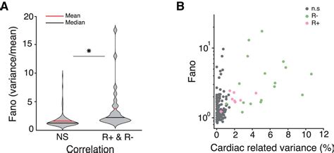 Resting State Neural Firing Rate Is Linked To Cardiac Cycle Duration In The Human Cingulate And