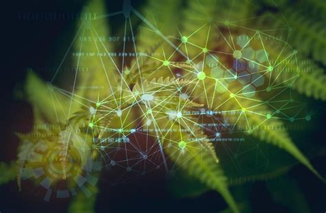 Premium Photo Ai Chatbot Artificial Intelligence Digital Data Science Analytics Concept