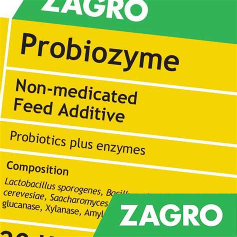 Probiozyme Improve The Condition Of Gut Microflora
