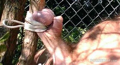 Balls Tied To A Tree Porned Up