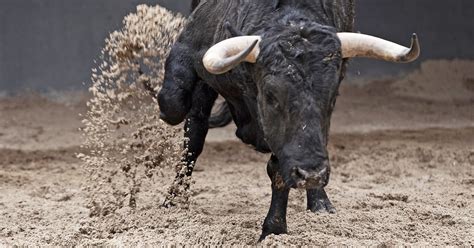 The Bull Market Is About To Set A Major Milestone