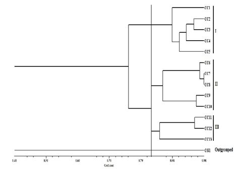 Upgma Clustering Based Dendrogram Of Colletotrichum Capsici Isolates Download Scientific